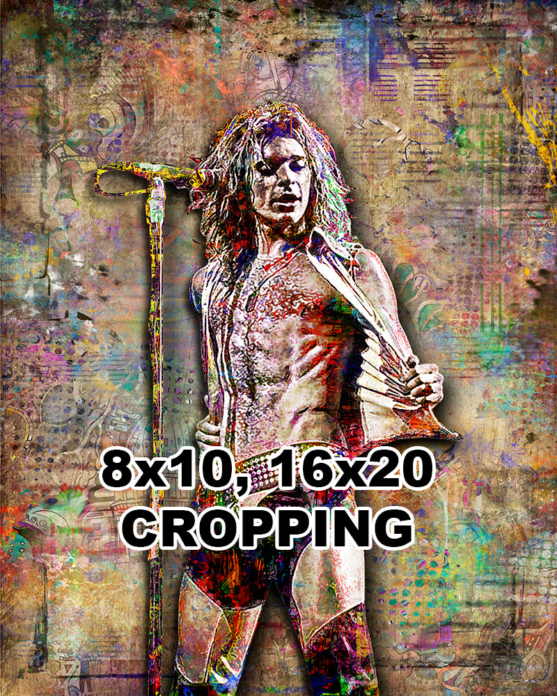 David Lee Roth of Van Halen Poster, David Lee Roth Van Halen Tribute F ...